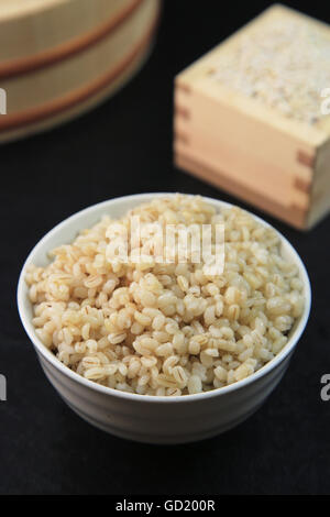 Boiled barley rice Stock Photo - Alamy