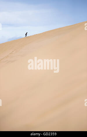 The Te Paki Sand Dunes on the Northland Peninsula of New Zealand Stock ...