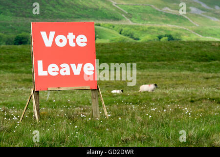 Vote Leave sign in the Yorkshire Dales countryside, in connection with ...