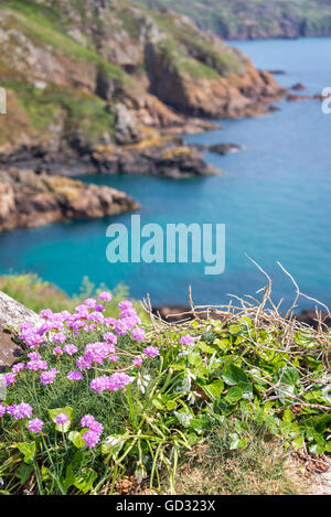 Cliffs of the South coast, Guernsey Stock Photo - Alamy