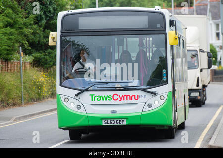 Long distance bus service in Australia: A Pioneer Motor Services Stock ...