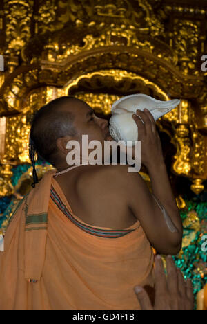 Hindu Priest blowing the conch shell Stock Photo - Alamy