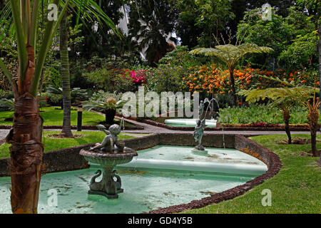 Stream cours, Garden of the Quinta Vigia, Funchal, Island of Madeira ...