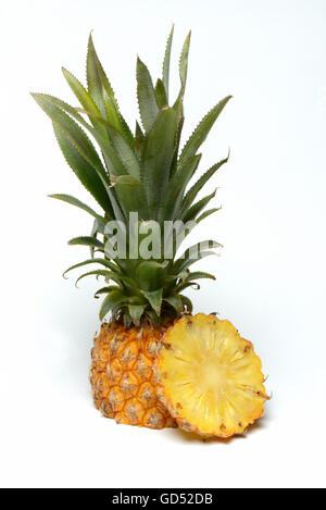 angeschnittene Ananas, Ananas comosus, Baby-Ananas Stock Photo - Alamy