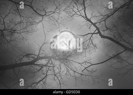 Full moon night with crows Stock Photo - Alamy