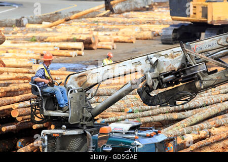 Loader sorting logs at sawmill, Ladysmith, Vancouver Island, British ...