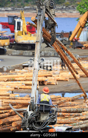 Self loading logging truck operator loading logs at sawmill, Ladysmith ...