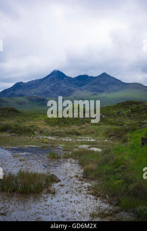 View of the landscape around Portree, Isle of Skye, Inner Hebrides ...