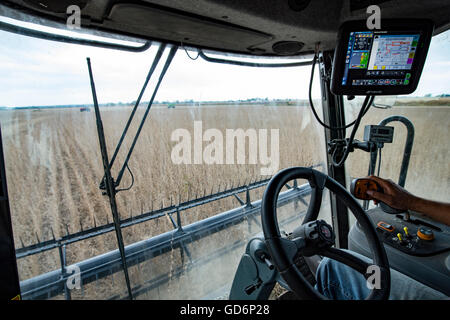 View from inside a combine harvester, while another combine moves in ...