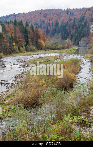 Prut river. Picturesque landscape with green mountains and grassy ...