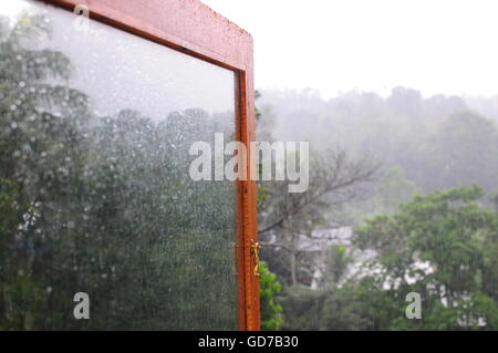 window into the jungle, sri lanka Stock Photo - Alamy
