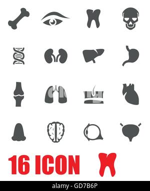 Set of human intestine grey icon. Healthy internal organ, digestive ...