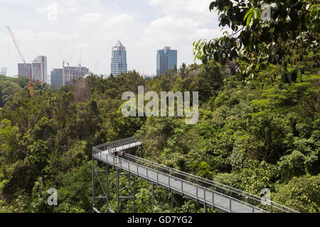 Singapore Tree Top nature walk Stock Photo - Alamy