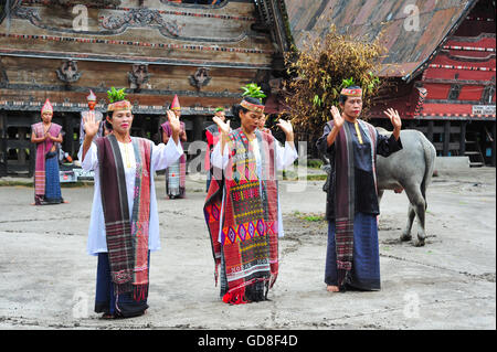 A Traditional Batak Musicians performing in Bolon Simanindo Batak ...