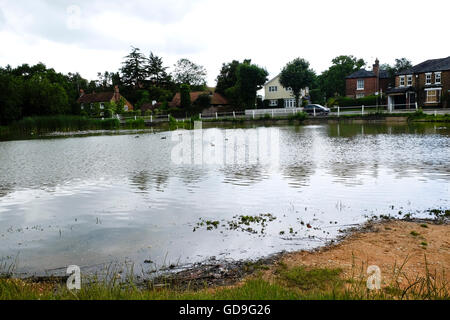 Shenfield Common and Pond, Brentwood Essex Stock Photo - Alamy