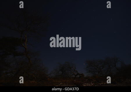 Big Dipper, Ursa Major star constellation, Night sky, Cluster of stars ...