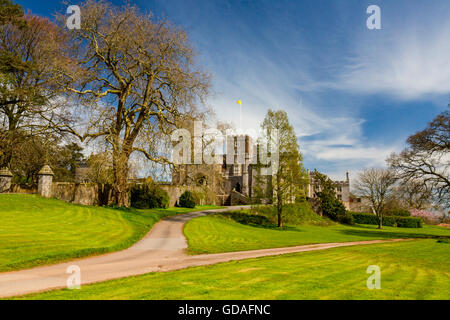 Powderham Castle, historic home of the Earl of Devon near Exeter Stock ...