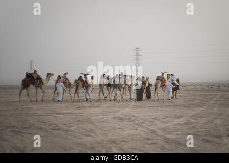An Arab hunting party sets out at dawn during the Al Galayel Hunting ...