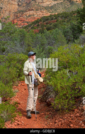 Red Rock Secret Mountain Wilderness panorama with various red rock ...