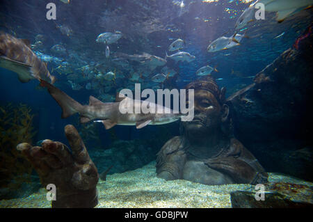 Interior of the Siam Ocean world, Southeast Asia’s largest aquarium ...