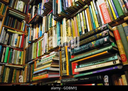 Lots of Books, Books on the Shelfs, Bookstore Stock Photo: 111510857 ...