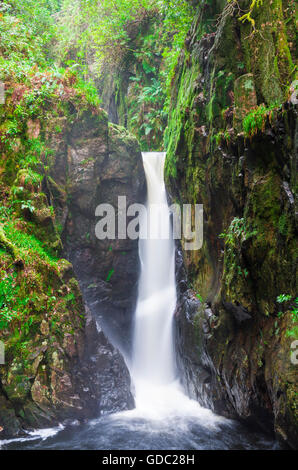 Stanley Ghyll gorge and Stanley Ghyll Force waterfall in Eskdale in the ...
