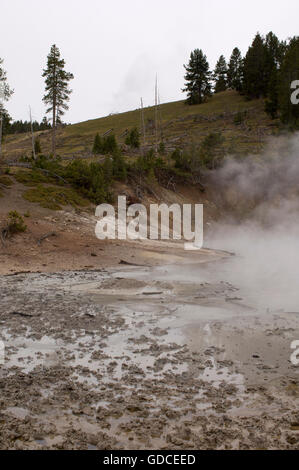 Mud Volcano Area, Yellowstone National Park, UNESCO World Heritage Site ...