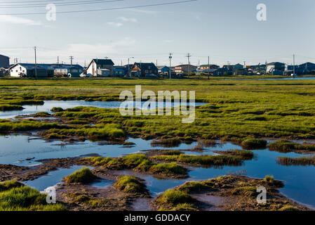 swamp, alaska, usa Stock Photo - Alamy