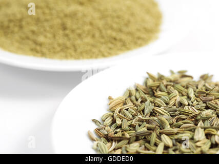 Powder and Seeds of Fennel, foeniculum vulgare Stock Photo - Alamy
