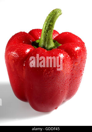 Sweet Red Pepper, capsicum annuum, Vegetable against White Background ...