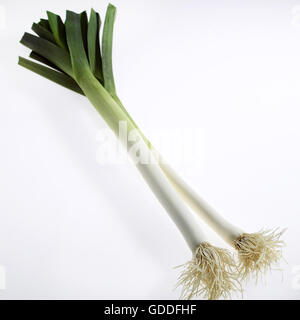Allium porrum, leek Stock Photo - Alamy