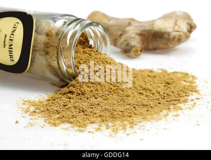Ginger root and ginger powder - Zingiber officinale Stock Photo - Alamy