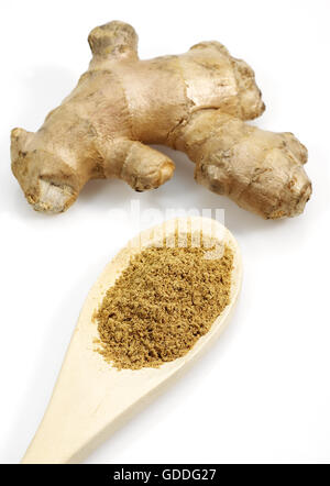Ginger root and ginger powder - Zingiber officinale Stock Photo - Alamy