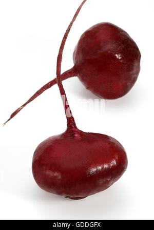 Beetroot, beta vulgaris rubra against White Background Stock Photo - Alamy