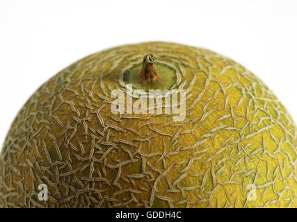 Italian Melon, cucumis melo, Fruit against White Background Stock Photo ...