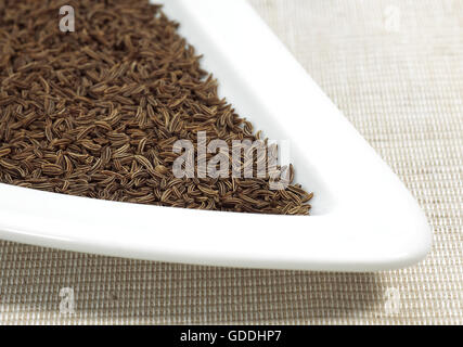 Caraway, carum carvi, Seeds in Bowl Stock Photo - Alamy