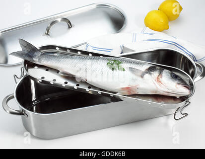 Dicentrarchus labrax fish with lemon for cooking. Studio Photo Stock ...