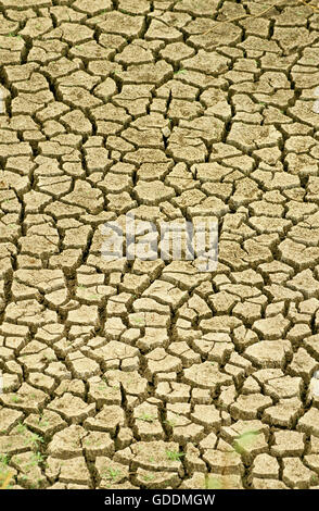 Dry soil in the cracks, natural background, hot climate. Drought land ...