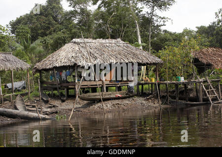 Warao's Village, Indians Living in Orinoco Delta, Venezuela Stock Photo ...