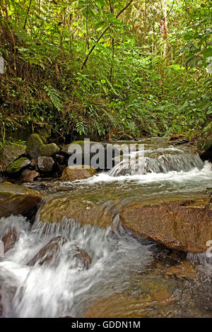 Waterfall in the park Stock Photo - Alamy