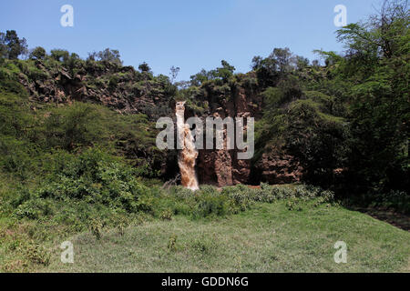 View of Waterfall, River draining into lake, Makalia Waterfall, Lake ...
