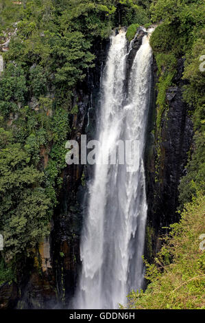 Karura Falls, 143 meters High, Aberdares Park in Kenya Stock Photo - Alamy