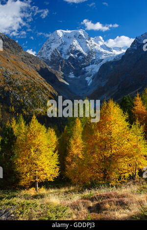 Valais alps panorama Mont Collon Pigne d'Arolla scenery landscape ...
