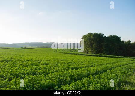 Landscape of farmland in Jefferson Pennsylvania Stock Photo - Alamy