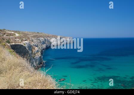 Fomm ir-rih Bay and Cliffs- Malta Stock Photo - Alamy
