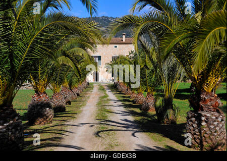 spain mallorca finca farmhouse Stock Photo - Alamy