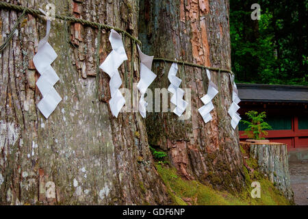 Shide "lightning wand" zig-zags on a stone tori gate outside a Shinto ...
