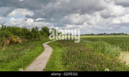 Bicycle path through dutch landscape in Groningen Stock Photo - Alamy