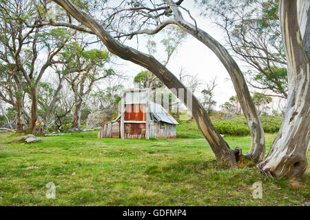 Famous Wallaces Hut in Alpine National Park Stock Photo - Alamy