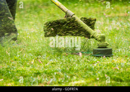 Close-up of a string trimmer head in tall grass Stock Photo - Alamy